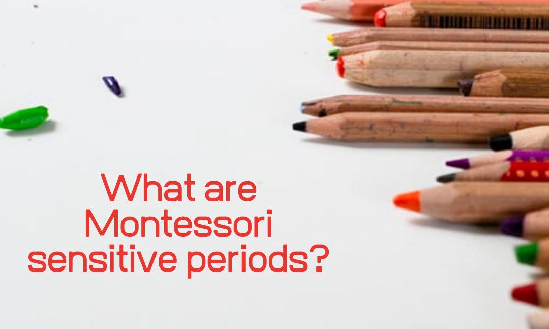 What are Montessori sensitive periods? - Maria Montessori School